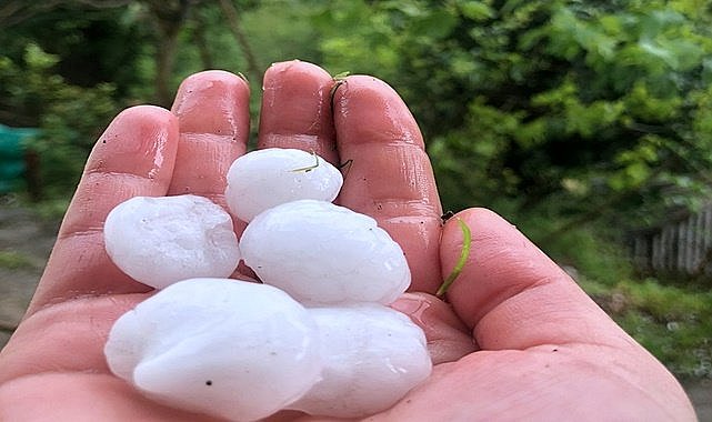 Dolu yağışı etkili oldu - YURT - Ordu Gazete Dolu yağışı etkili oldu - YURT - Ordu Gazete