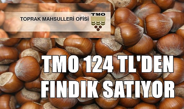TMO 124 TL'den fındık satıyor! - EKONOMİ - Ordu Gazete